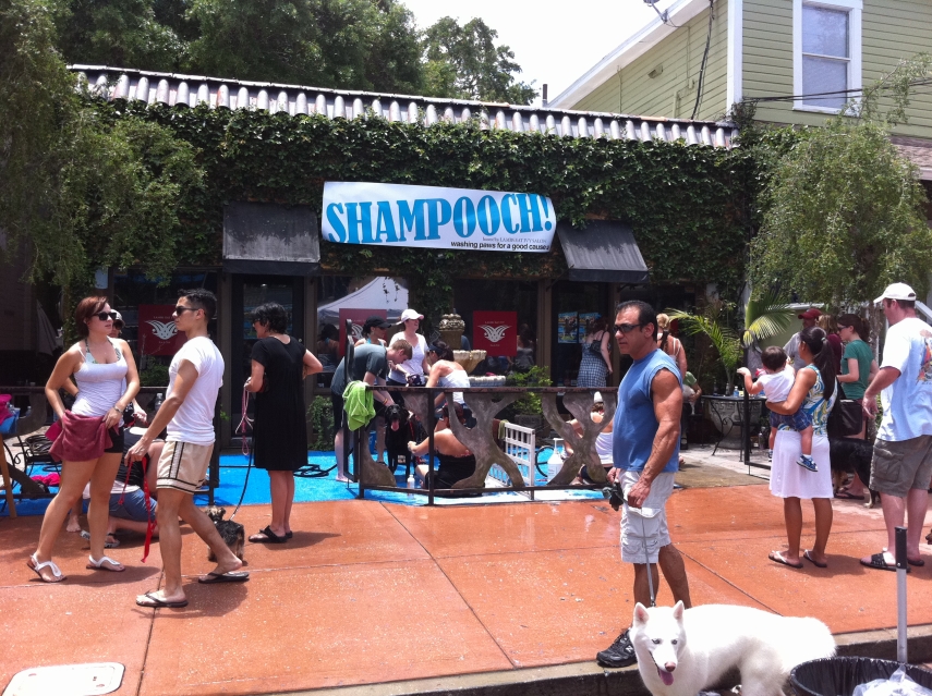 The Local Touch | TouringPlans.com Blog