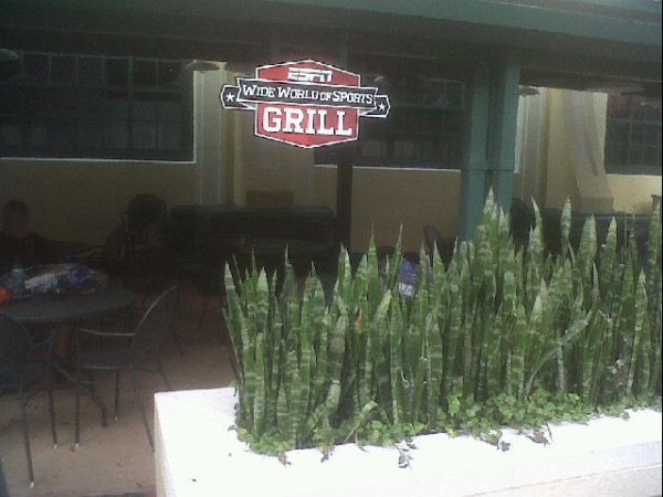 Spring Is Here – A Guide To Atlanta Braves Spring Training ...