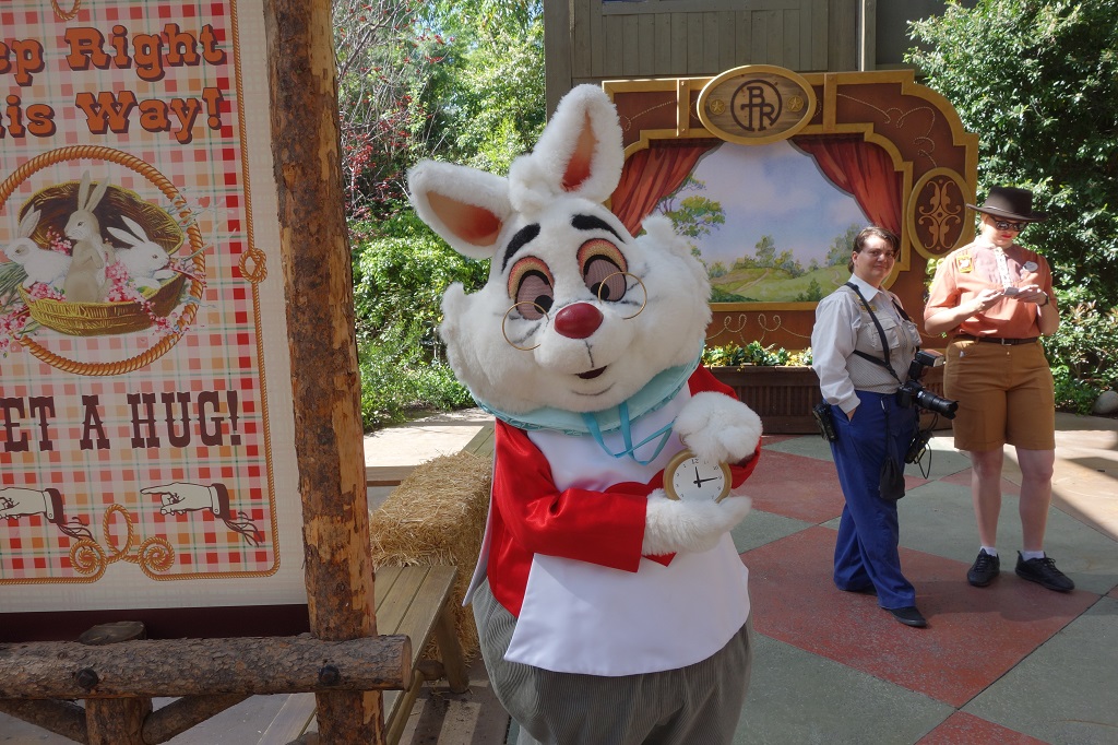Pictures: Springtime Roundup Brings Rare Characters Back to Disneyland ...