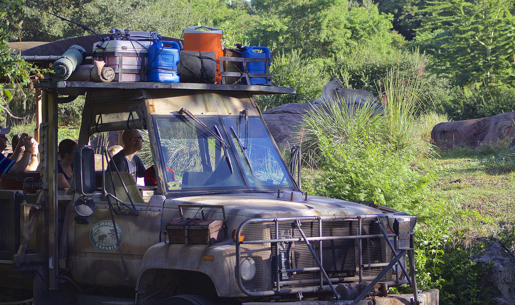 Five Things to Know About Kilimanjaro Safaris | TouringPlans.com Blog