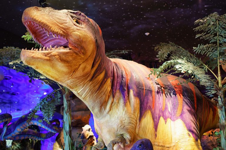 SATURDAY SIX: The Most UNIQUE Dining Experiences in Walt Disney World ...