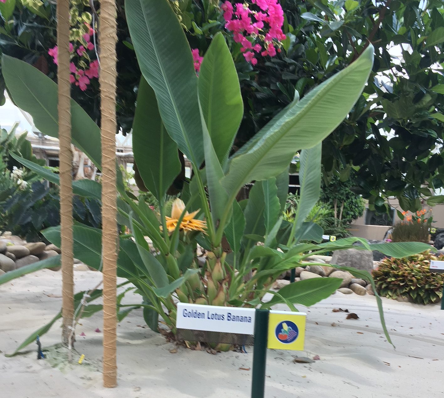 Lily’s Best (Summer) Week Ever: Epcot Edition | TouringPlans.com Blog