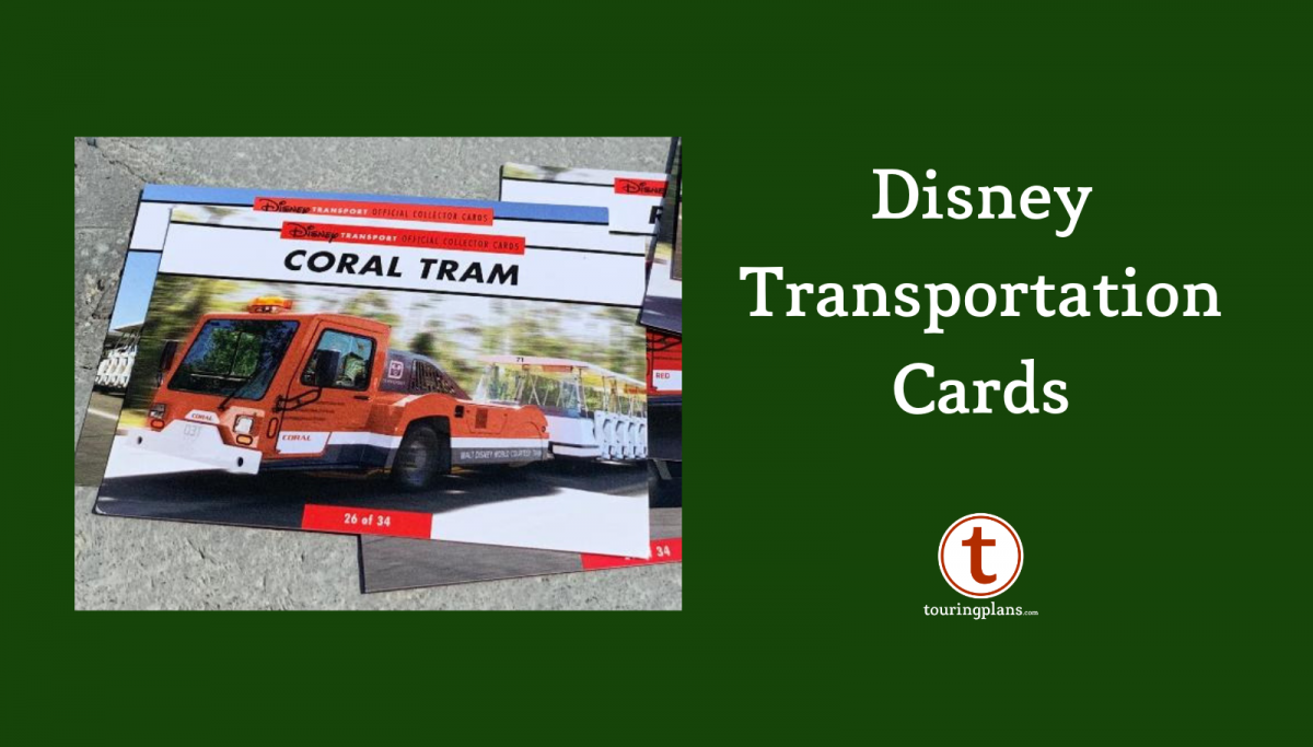 Major Change to Swan and Dolphin’s Bus Transportation – What Does It ...