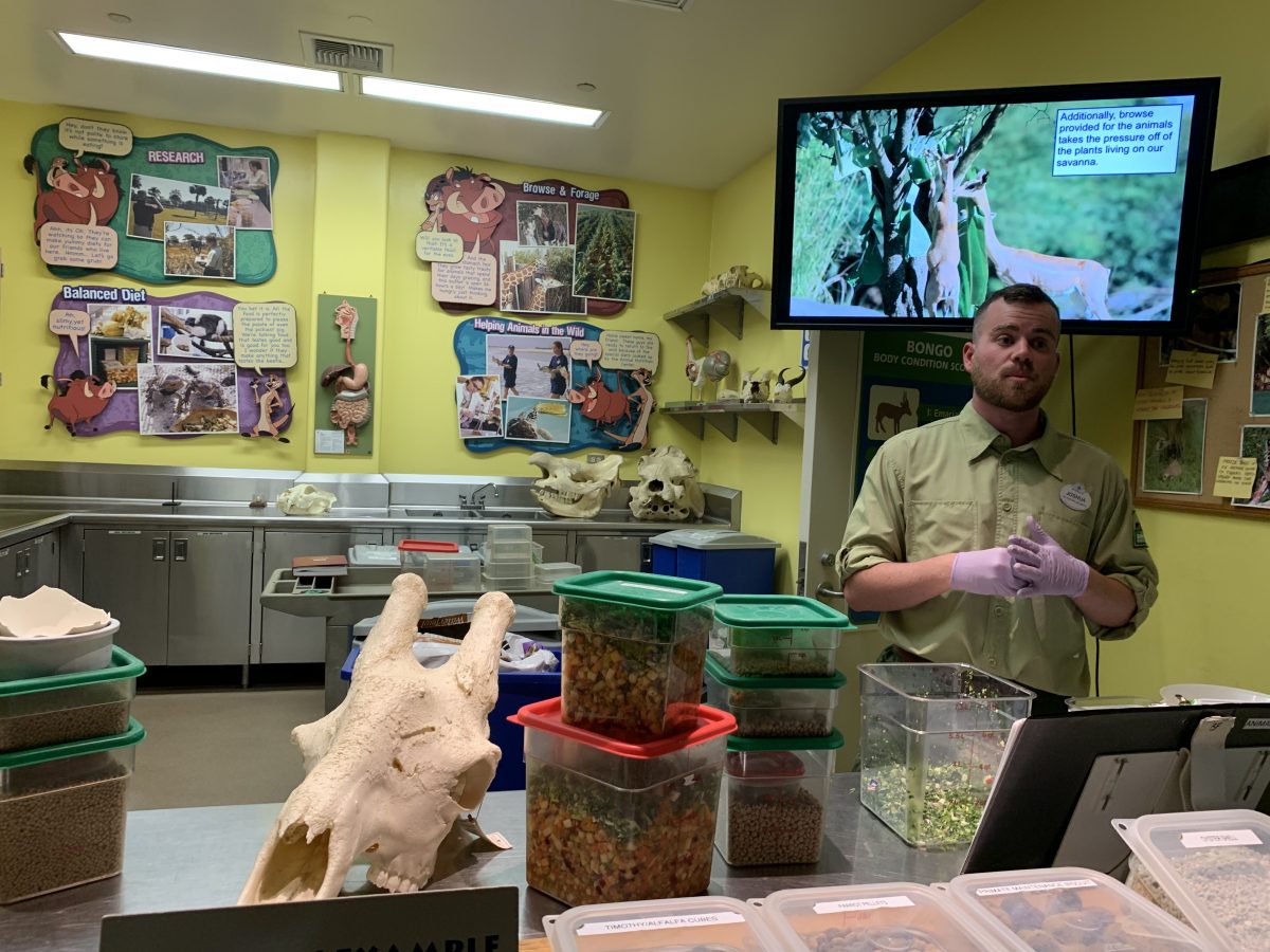 Conservation Station at Animal Kingdom Has Reopened, with a Drawing ...
