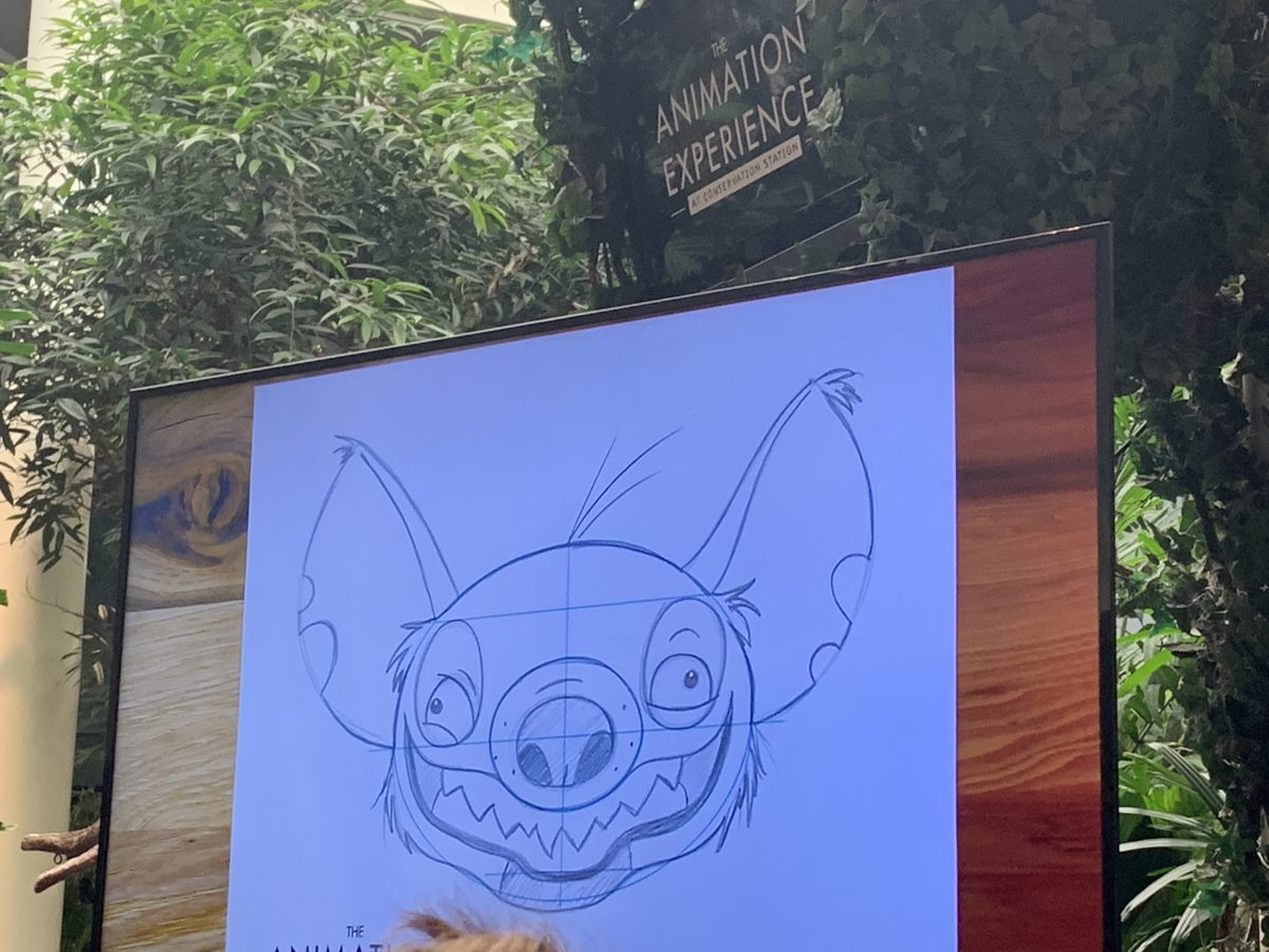 Conservation Station at Animal Kingdom Has Reopened, with a Drawing ...