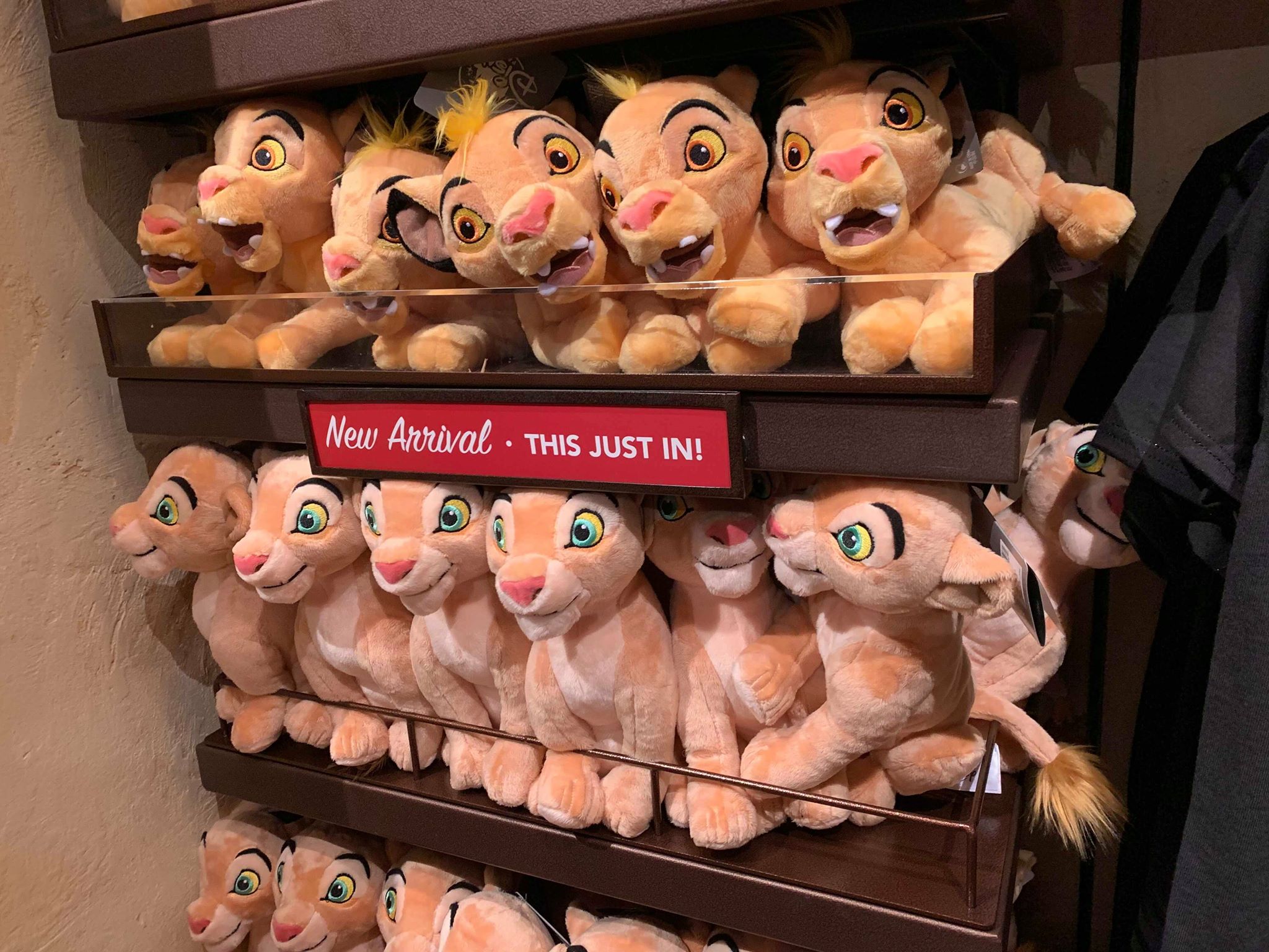 The SATURDAY SIX looks at THE LION KING in Walt Disney World ...