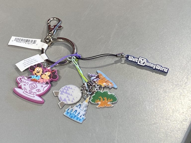 These Walt Disney World Keychain Sets Are Affordable Souvenirs ...