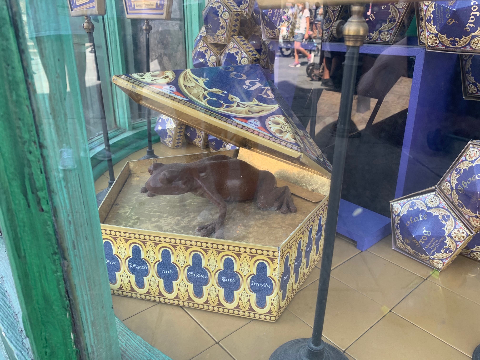 The SATURDAY SIX Explores the Magic Behind Chocolate Frogs at the ...