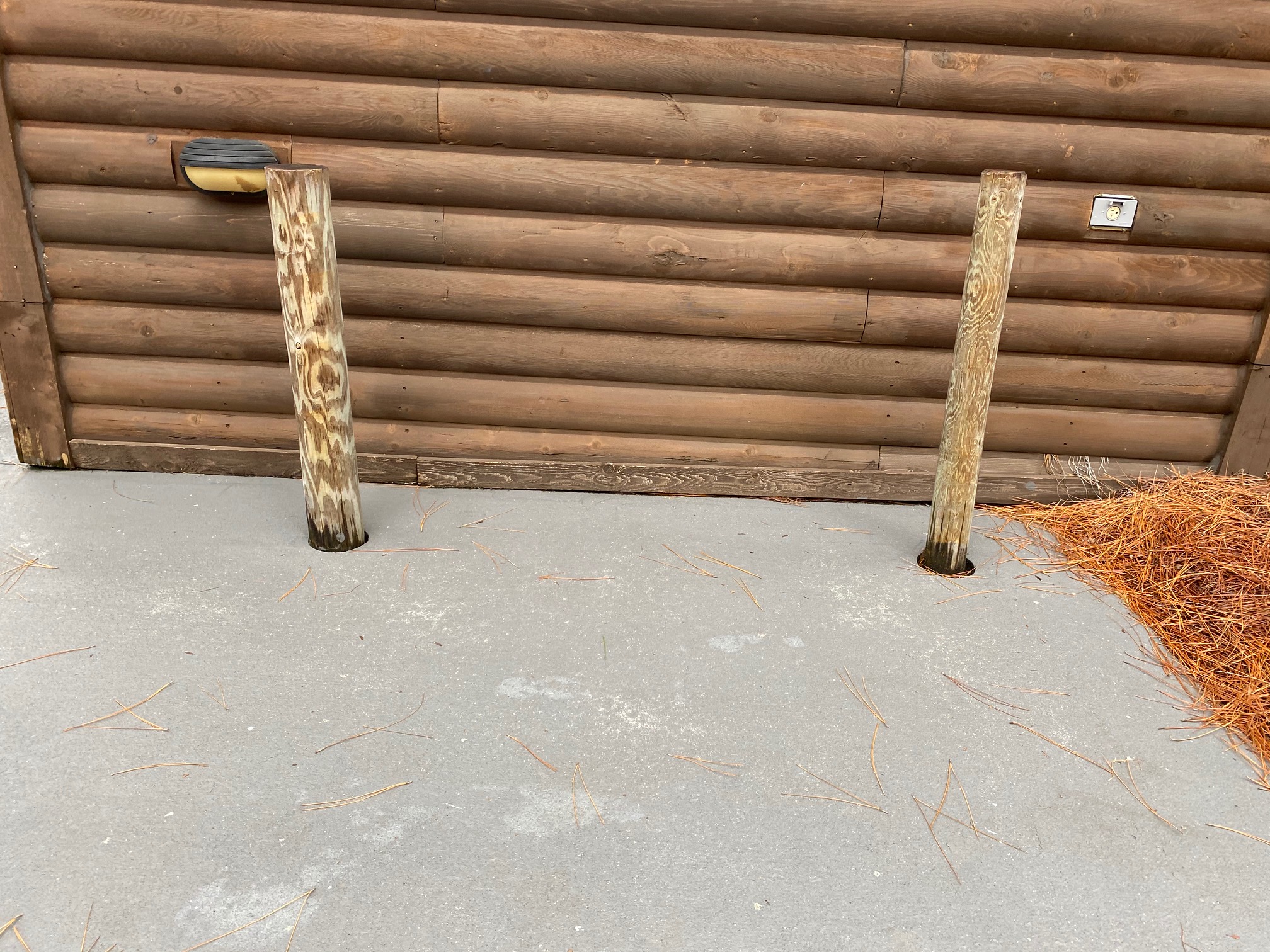 The SATURDAY SIX Spends a Night in a Cabin at Disney’s FORT WILDERNESS ...