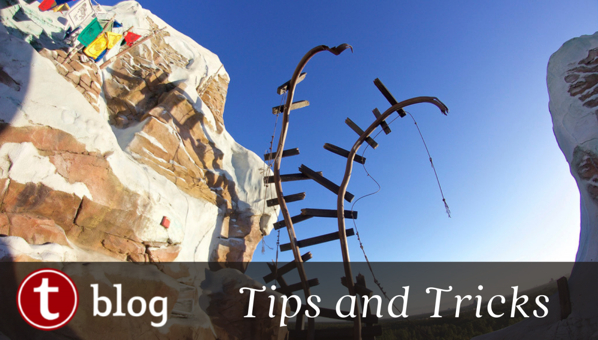 A Ride Chicken’s Guide to Magic Kingdom Attractions | TouringPlans.com Blog