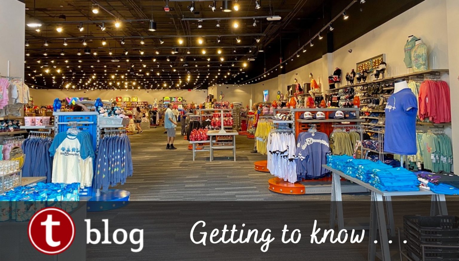 Using Disney World Mobile Order Guide and FAQ