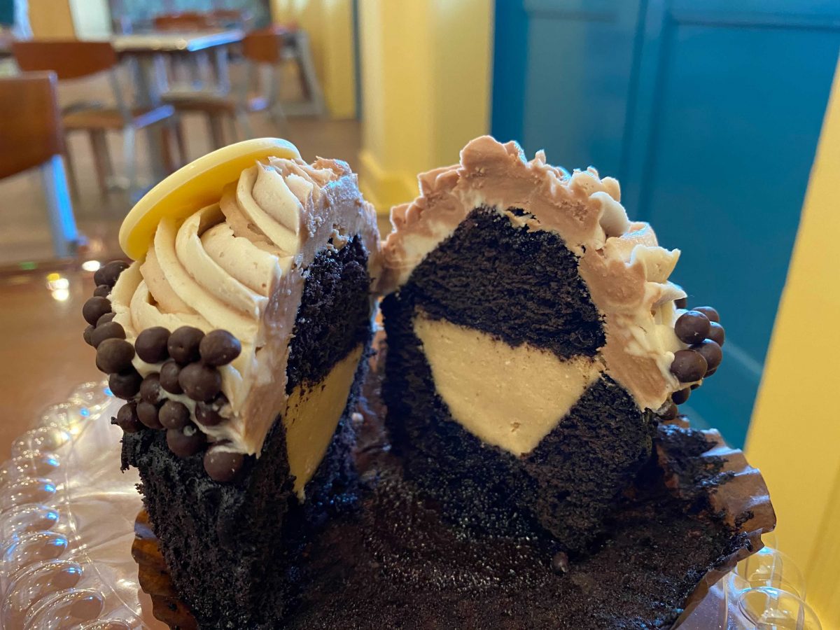 REVIEW – Bullseye Cupcake at Saratoga Springs is Among the Best EVER ...
