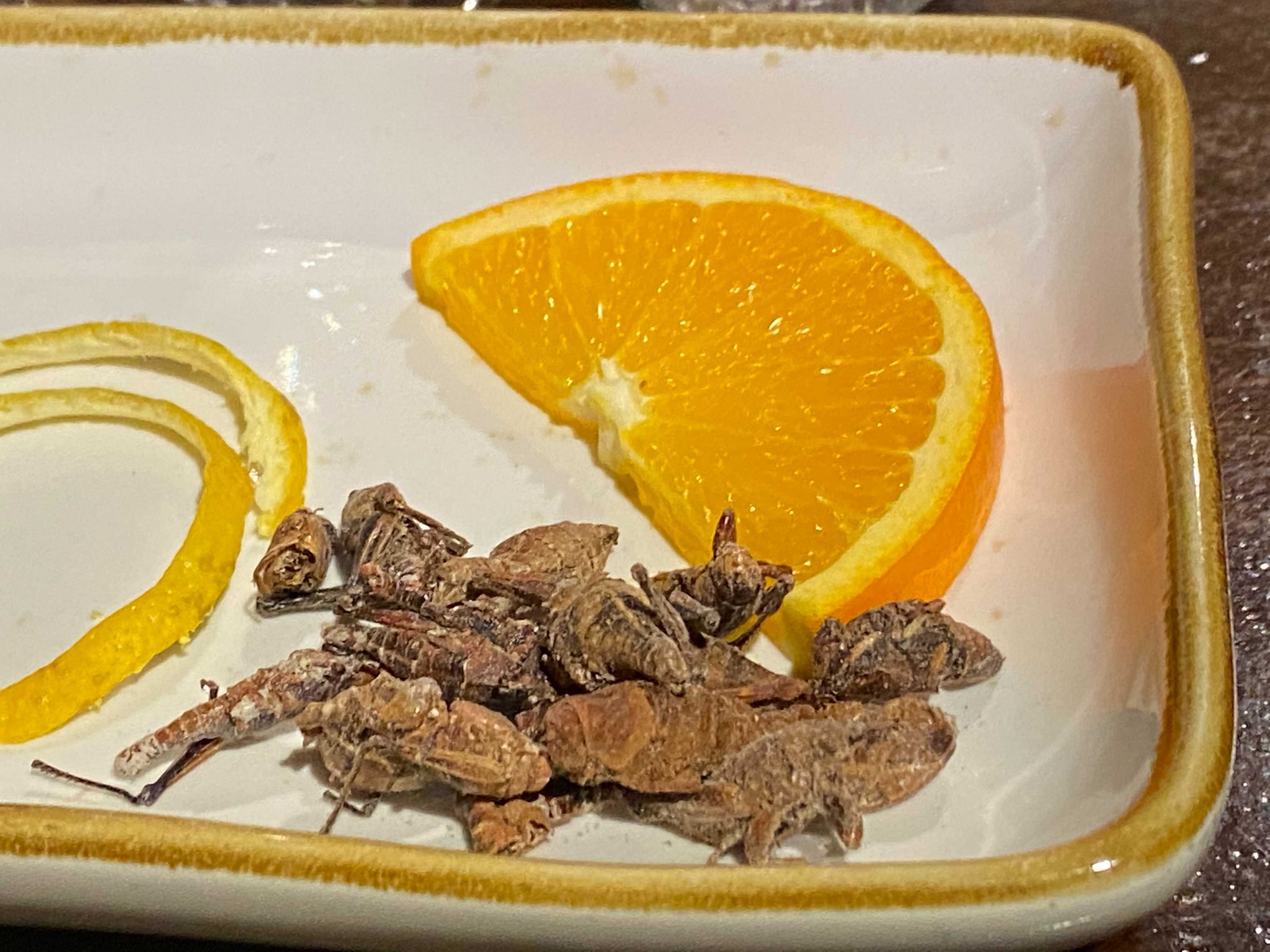 REVIEW – The NEW Agave Experience at La Cava is Exquisite ...