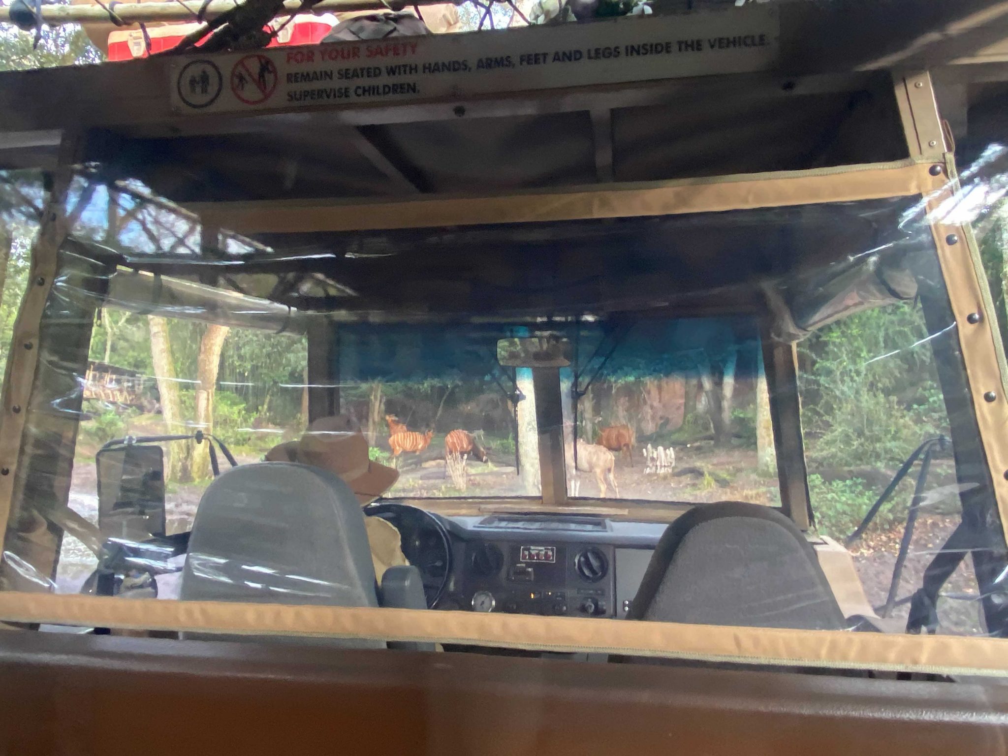 4 Tips for Spotting Animals on Kilimanjaro Safaris | TouringPlans.com Blog