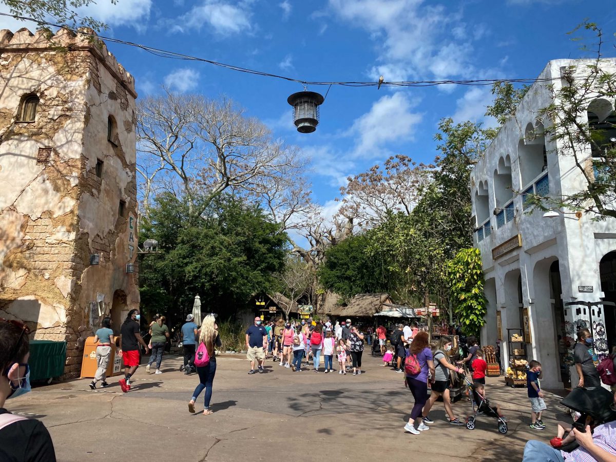 Harambe Fruit Market – The Best Spot in Animal Kingdom for a Healthy ...