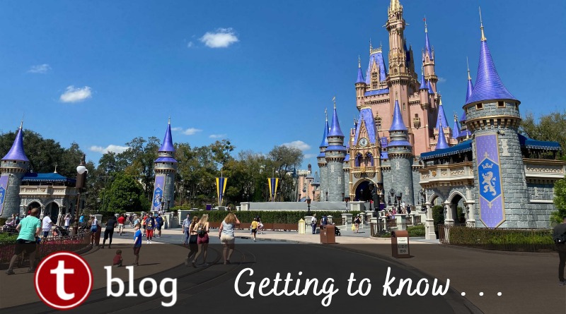 Seven Types of Fun at Walt Disney World | TouringPlans.com Blog