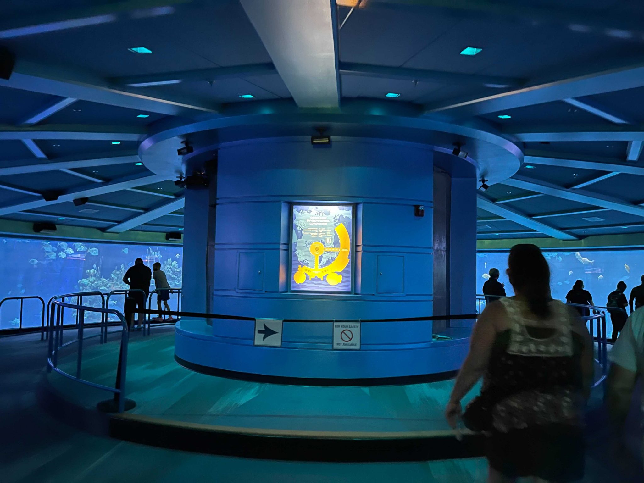 PHOTOS – What’s New at EPCOT Today: The Seas with Nemo and Friends, the ...