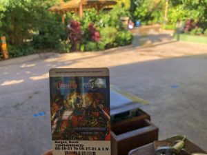 The SATURDAY SIX Explains Why You NEED a Cabana at Universal’s VOLCANO ...