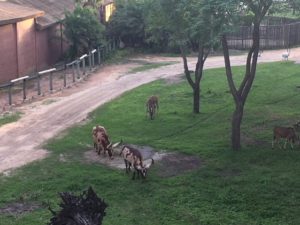 Are Preferred Rooms Worth It? Deluxe Edition! | TouringPlans.com Blog