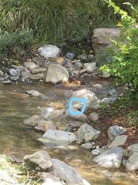 The Hidden Pascals of Fantasyland — A Checklist | TouringPlans.com Blog