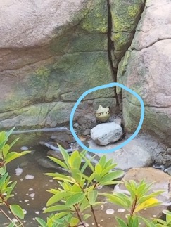 The Hidden Pascals of Fantasyland — A Checklist | TouringPlans.com Blog