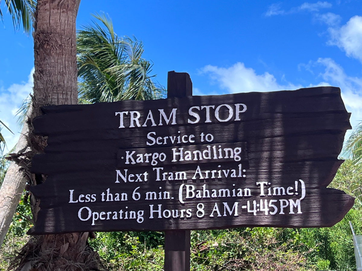 How to Have a Great First Time at Disney’s Castaway Cay | TouringPlans ...