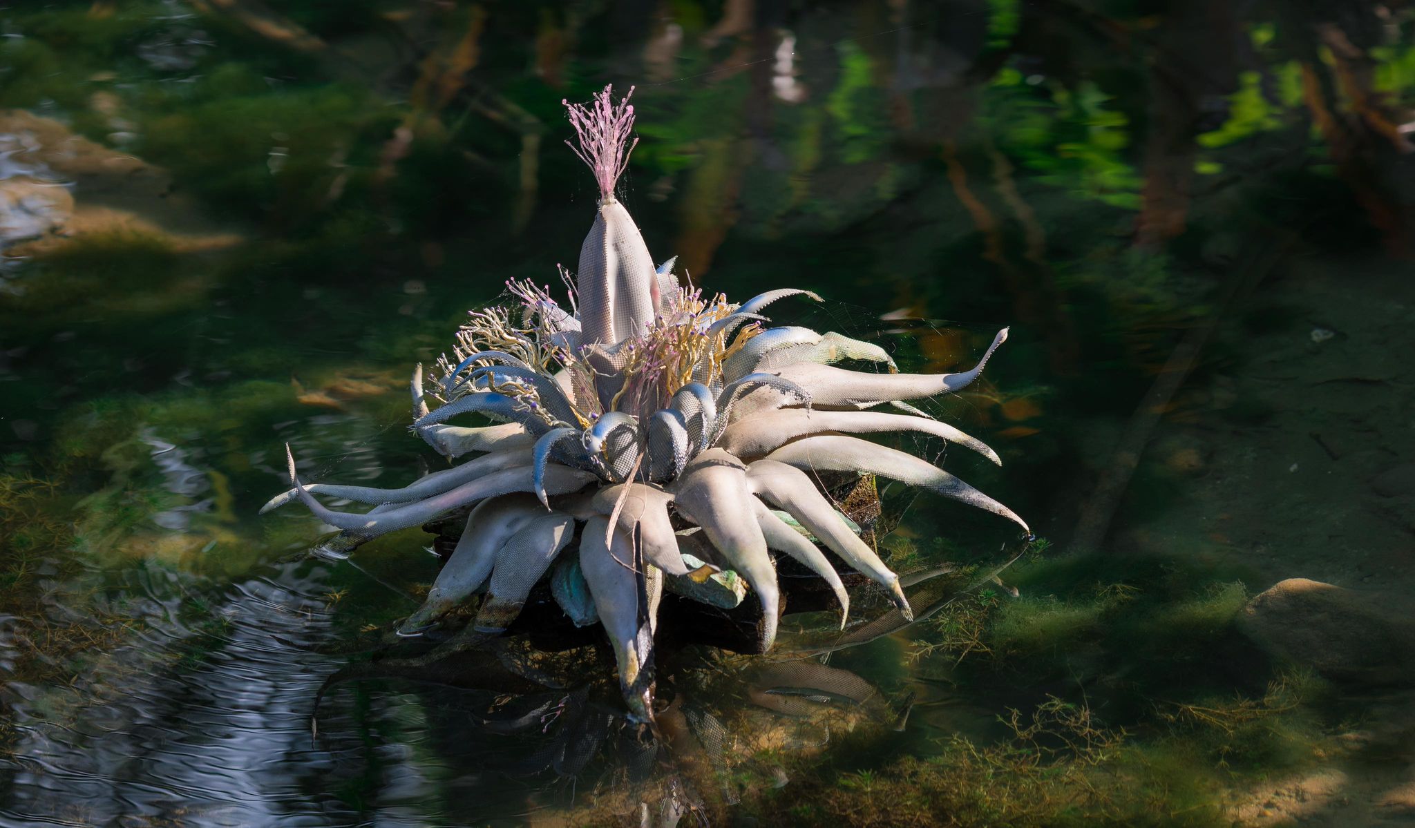 SATURDAY SIX Presents: The Definitive Guide to Pandora the World of ...