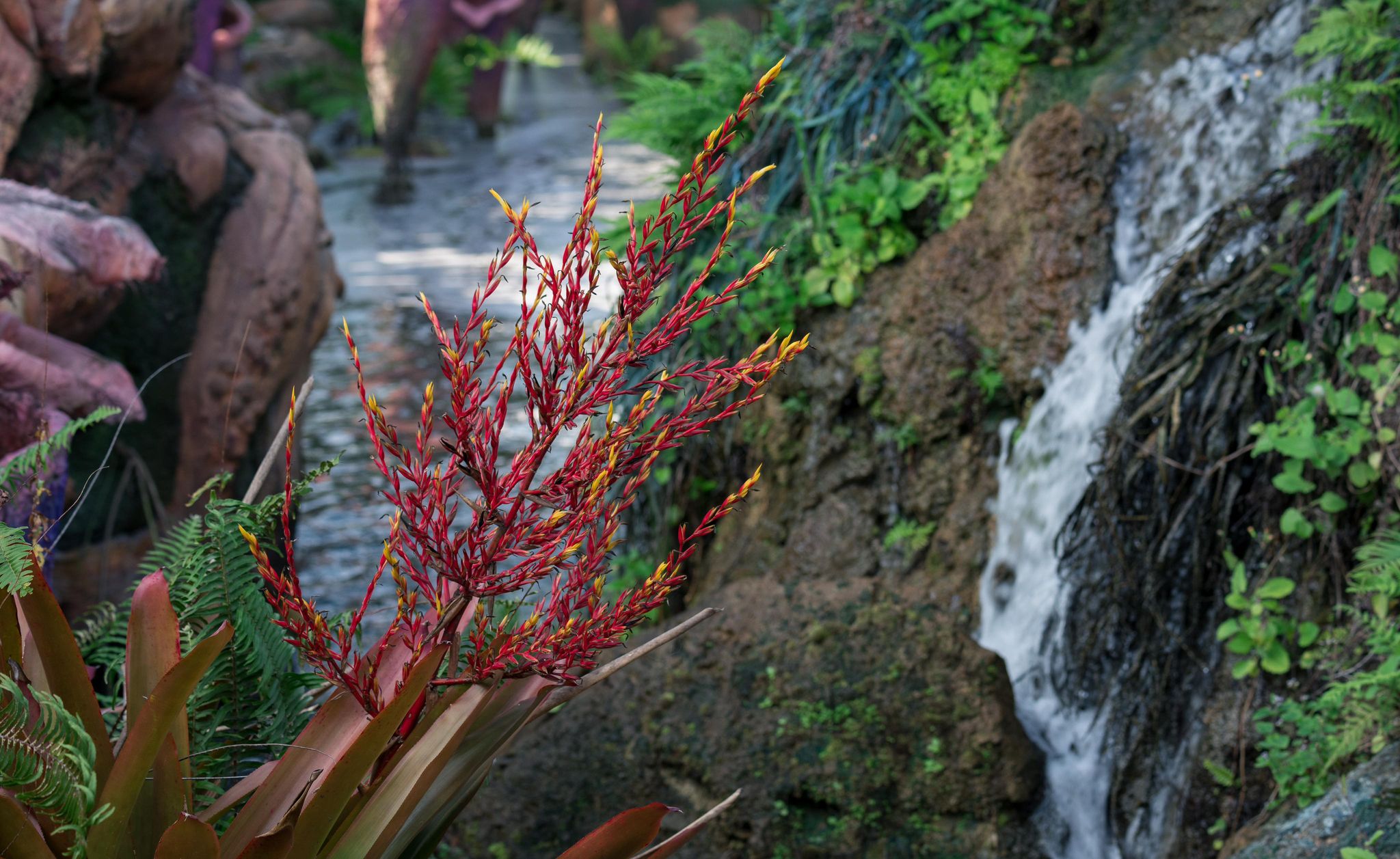 SATURDAY SIX Presents: The Definitive Guide to Pandora the World of ...