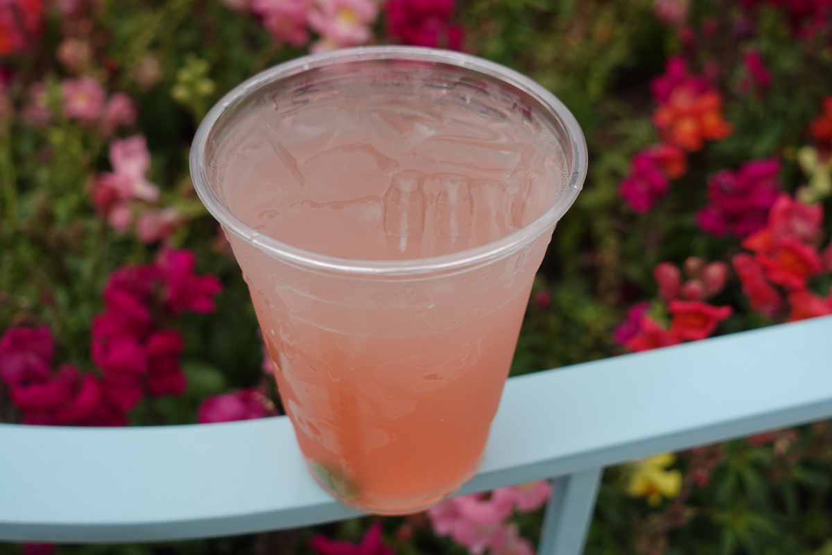Disneyland Cafe Daisy Review | TouringPlans.com Blog