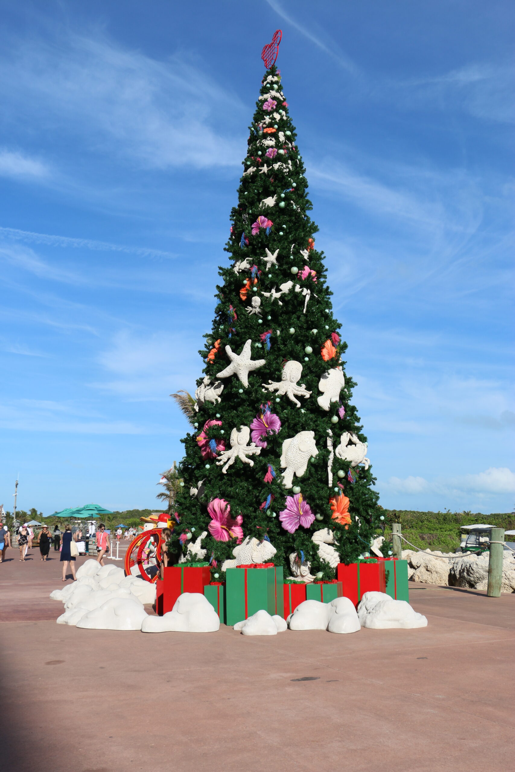 Ten Fun Photo Ops at Disney’s Castaway Cay | TouringPlans.com Blog