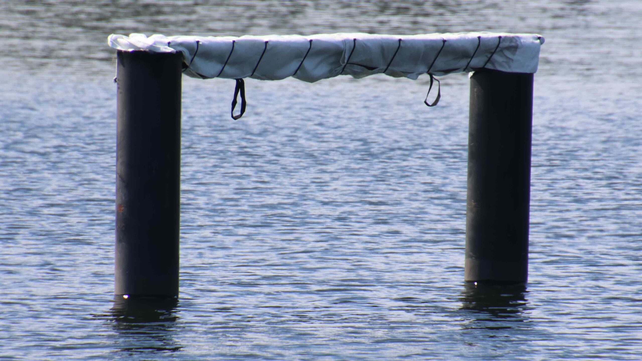 SATURDAY SIX Presents: Flights with @bioreconstruct vol 4 (EPIC ...